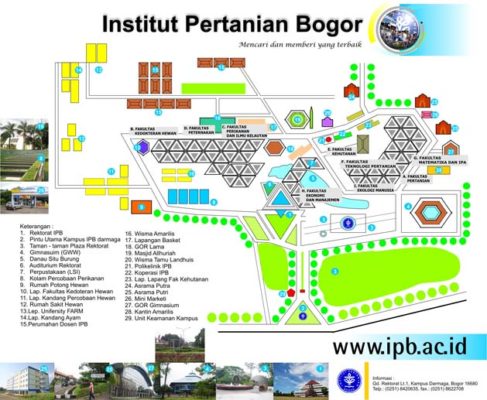 Kuliah di Institut Pertanian Bogor (IPB)